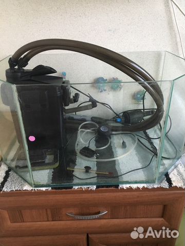 Аквариум,фильтр воды,подогрев воды,градусник,корму
