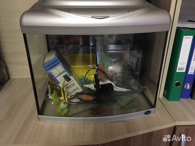 Аквариум