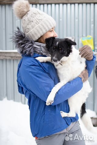 Отдаю малышку Лори в добрые руки