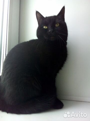 Брутальные парень