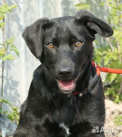 Черный. Блестящий. Шикарный