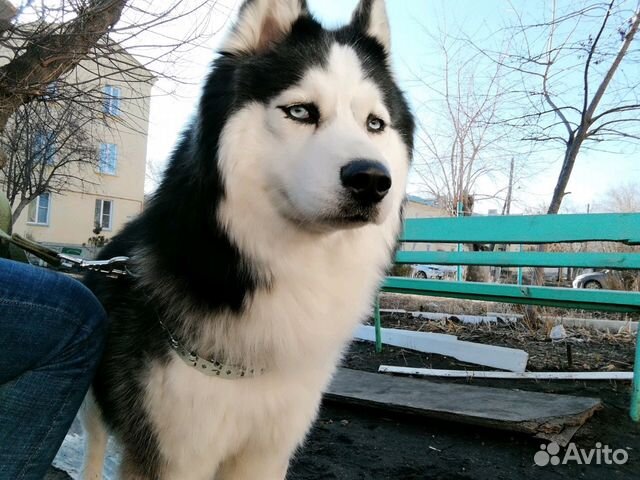 Вязка кабеля
