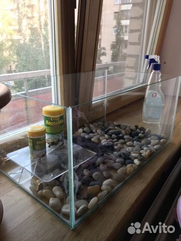 Черепашник