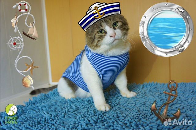 Браун зовет в отпуск