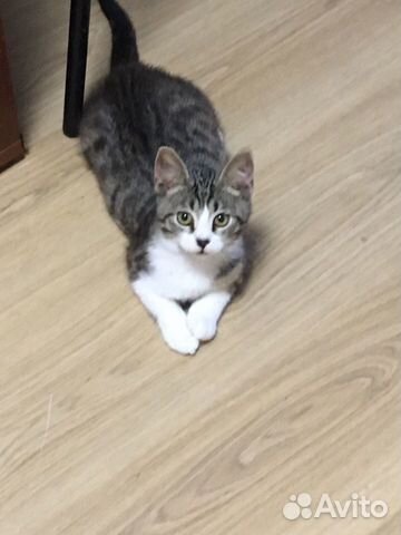 Мальчик подросток