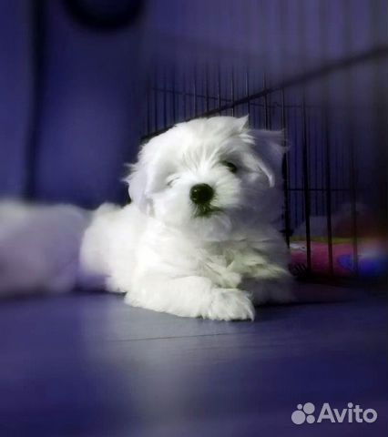 Красивые детки