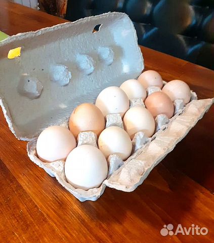 Яйцо и мясо домашнее (утиное, индюшиное, гусиное