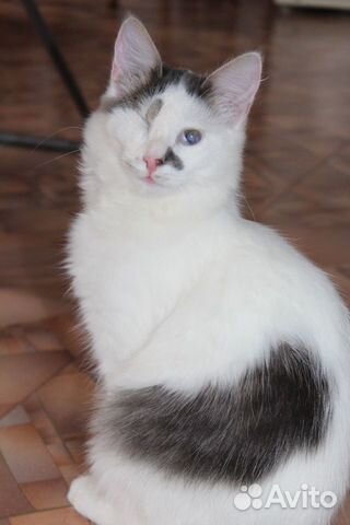 Обаятельный Славик