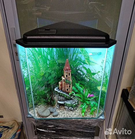 Аквариум