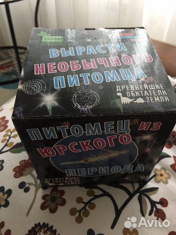 Выращивание артемий - набор