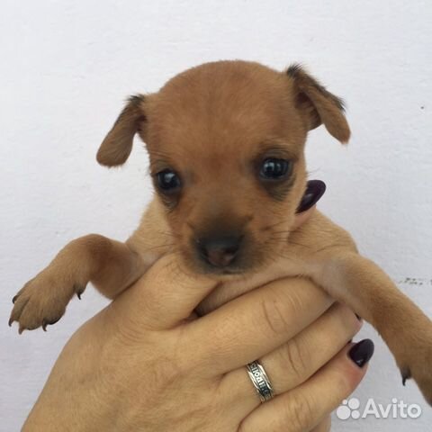 Очаровательные мужички