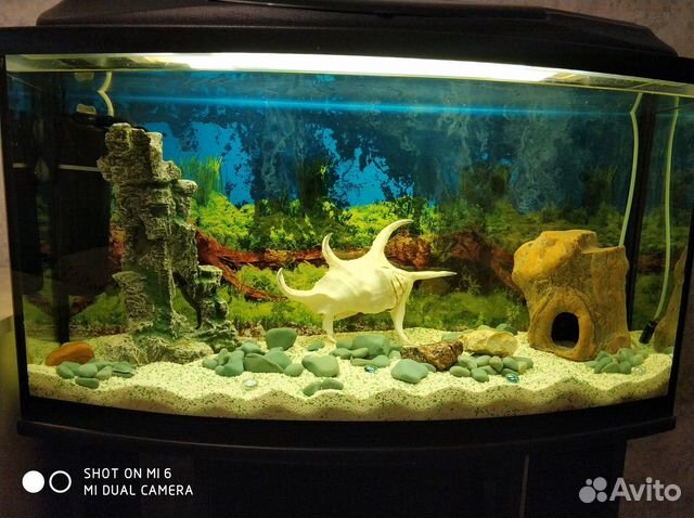 Аквариум 115 л. продам