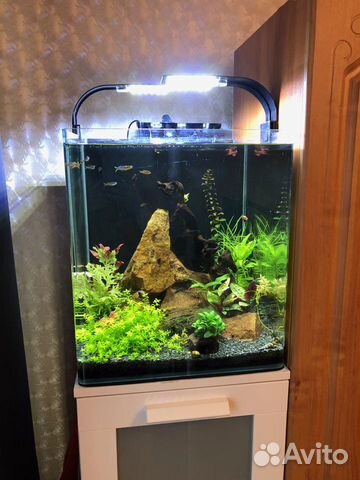 Готовый аквариум Dennerle