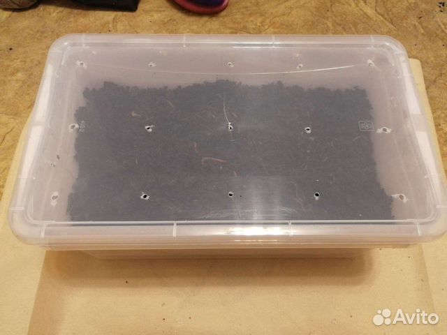 Вермиферма, вермикомпостер