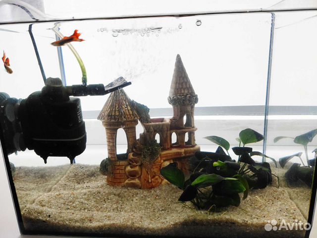 Аквариум с рыбками