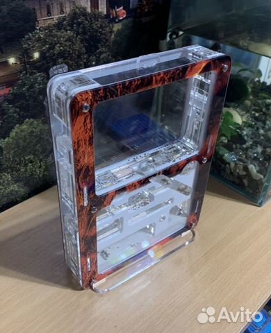 Формикарий с муравьями