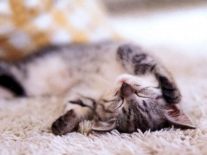 Лапусечка малышка