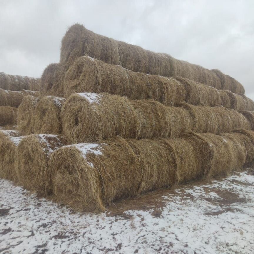 Сено, солома