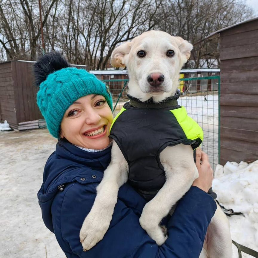 Щенок в добрые руки