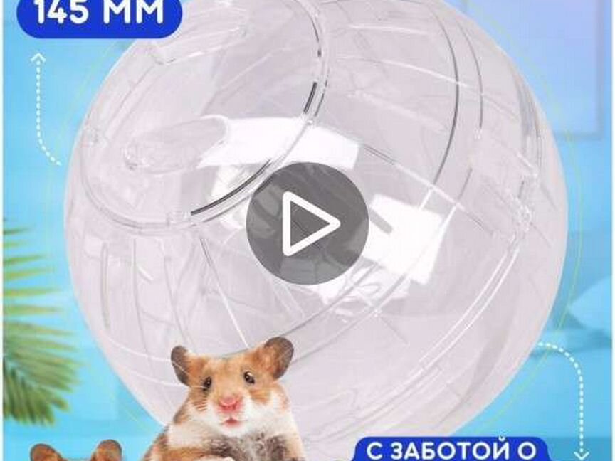 Шар для бега (для джунгарика)