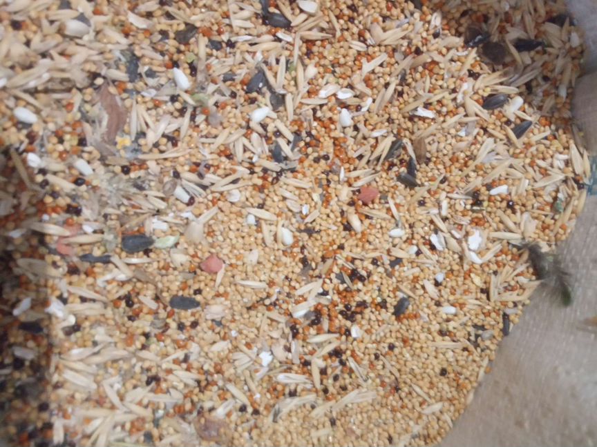 Кормовые отходы (зерноотходы) Для куриц