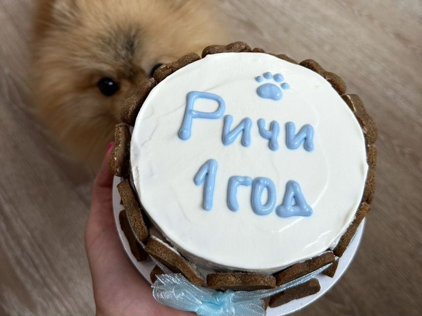 Торт для собак