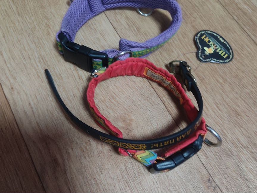 Вещи для собаки