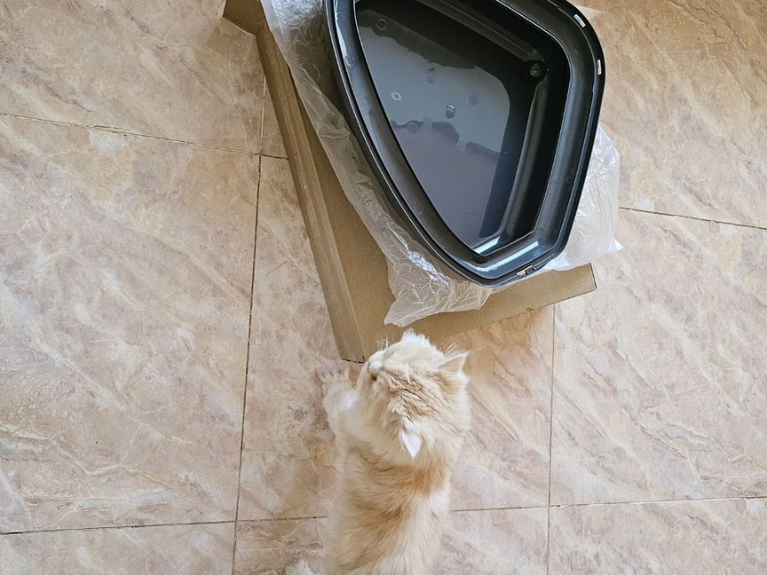 Лоток для кошек