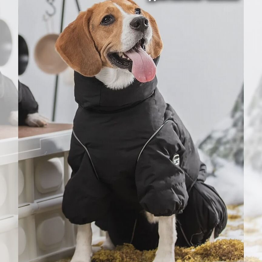 Одежда для собак мелких пород зима