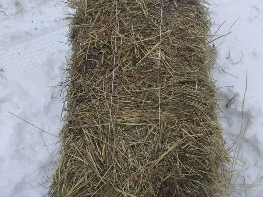 Продам сено в рулонах,тюках