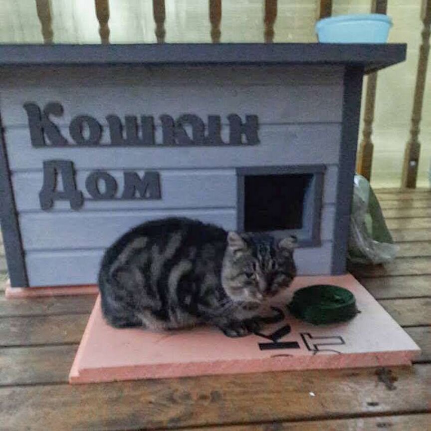 Уличный домик для кошек