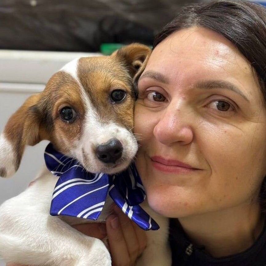 Щенок в добрые руки