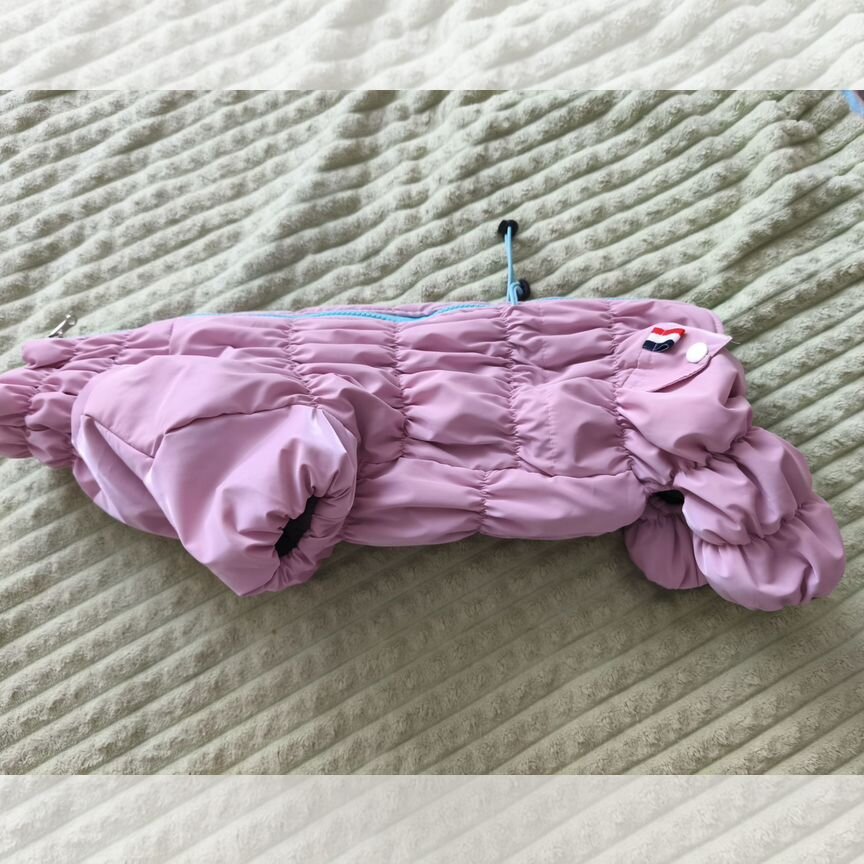 Одежда для собак