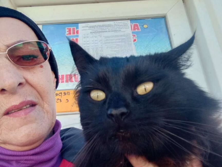 Сибиряк бесплатно