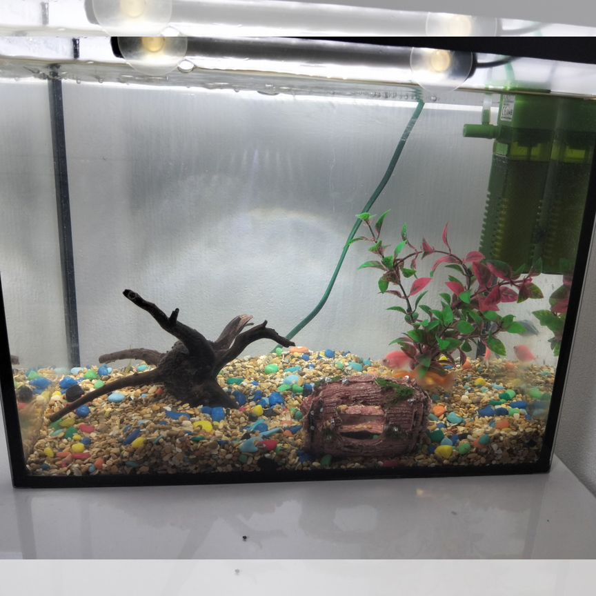 Готовый аквариум 20 л