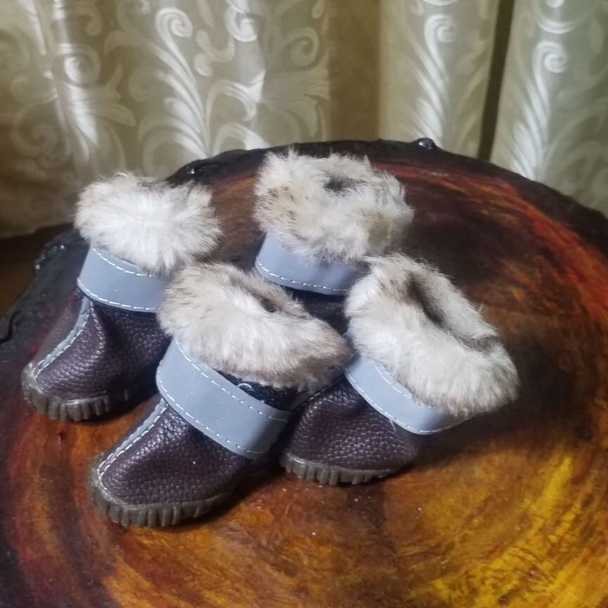 Сапоги для собак