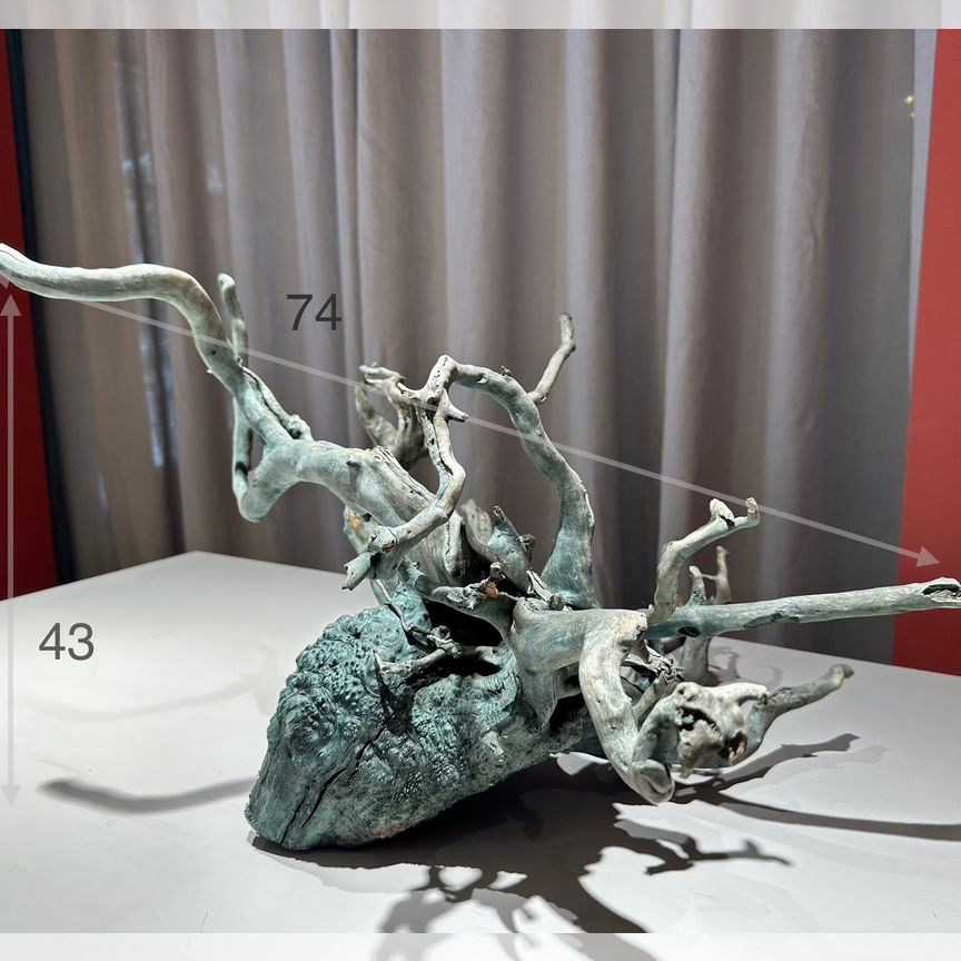 Коряга. Декор. Аквариум