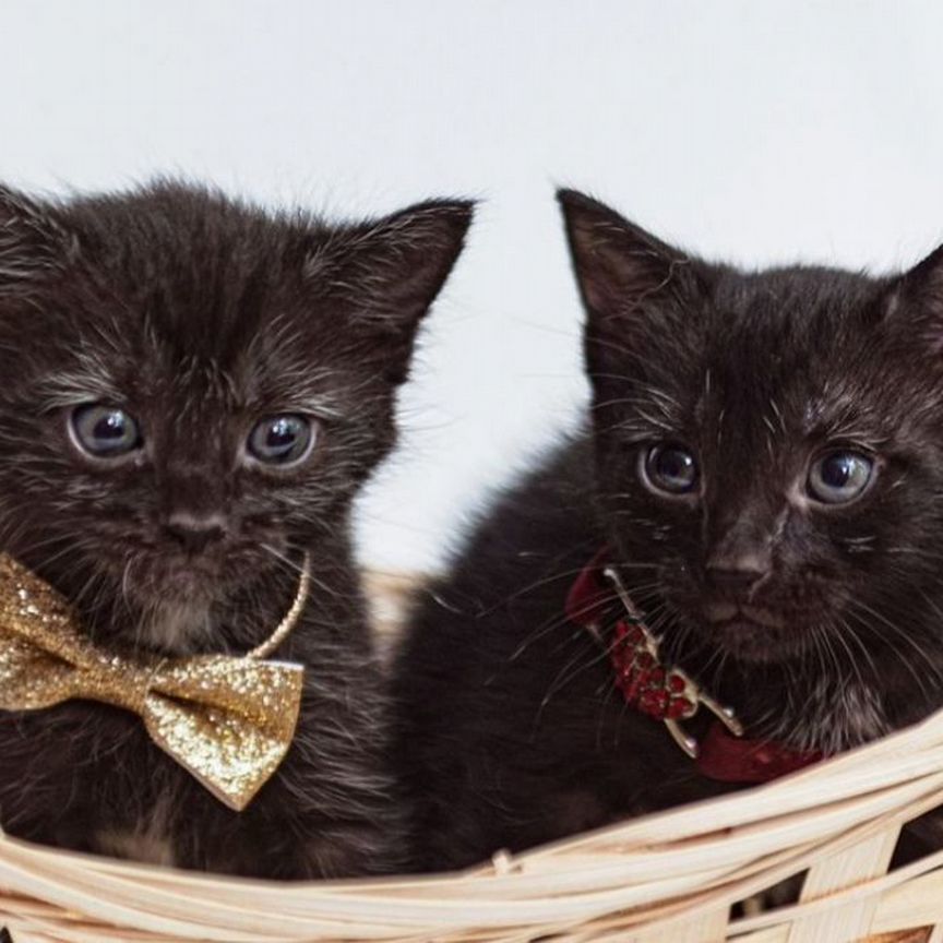 Бусинки 1,5 месяца