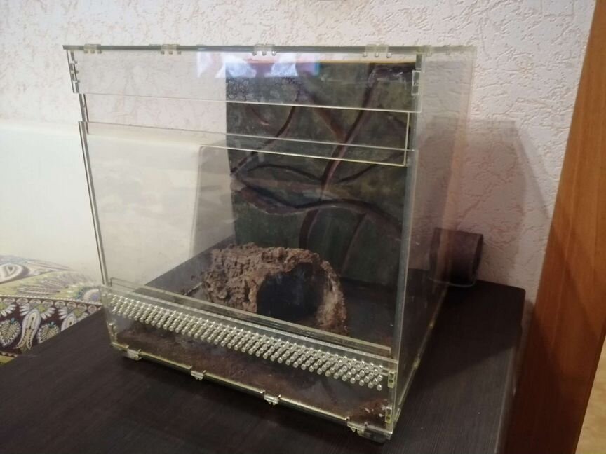 Террариум