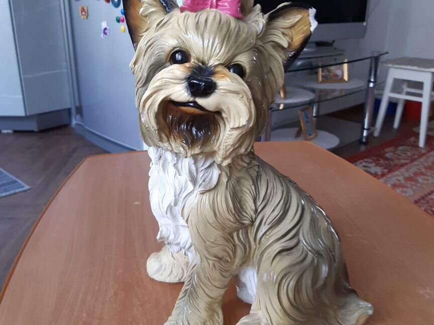 Йоркширский терьер