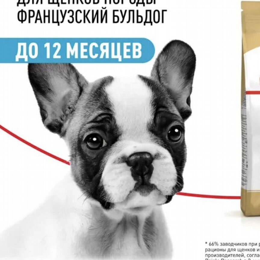Корм для французского бульдога (щенка)