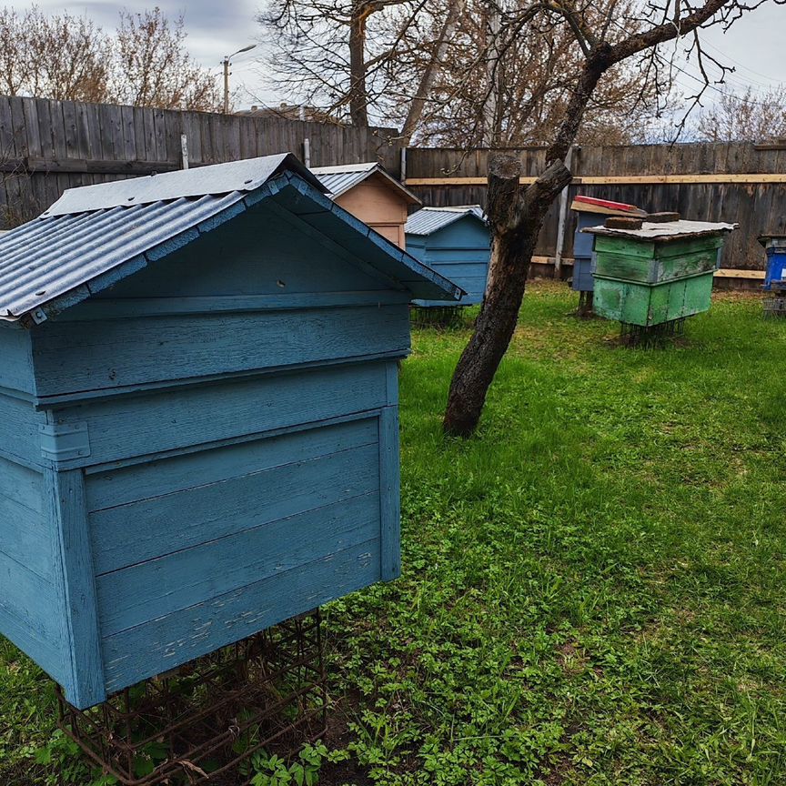 Продам ульи для пчел