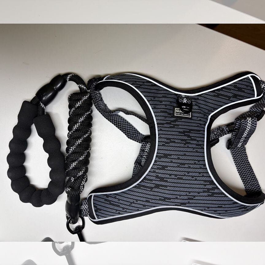 Шлейка для собак с поводком для средних и крупных