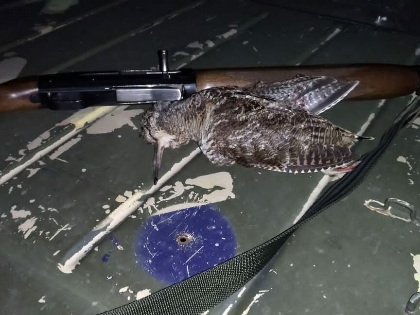 Тушка утки муларда