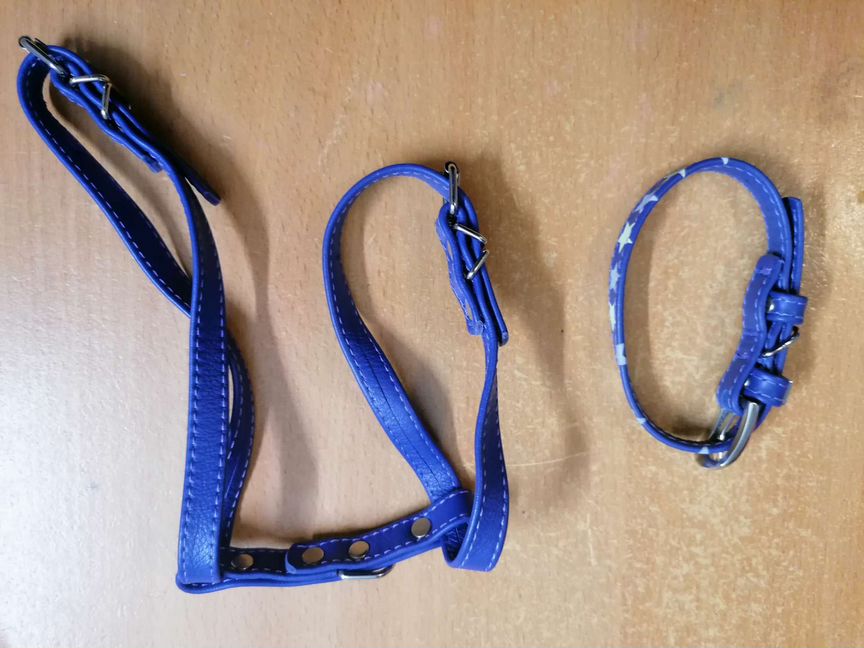 Ошейник для собак, шлейка для маленькой собаки