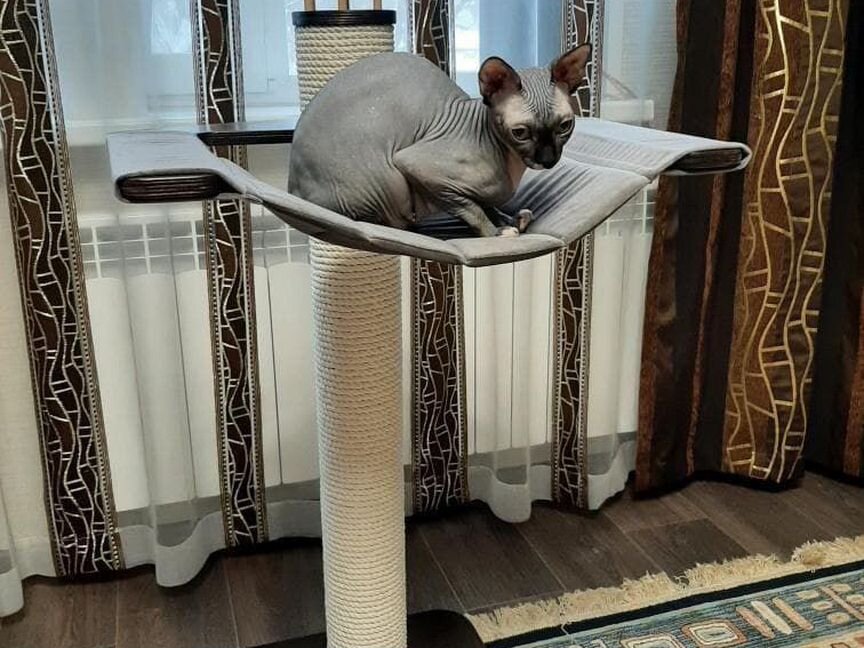 Когтеточка для кошек