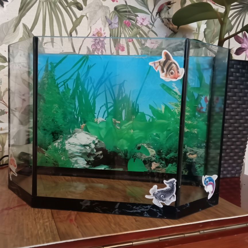 Аквариум примерно 12 литров