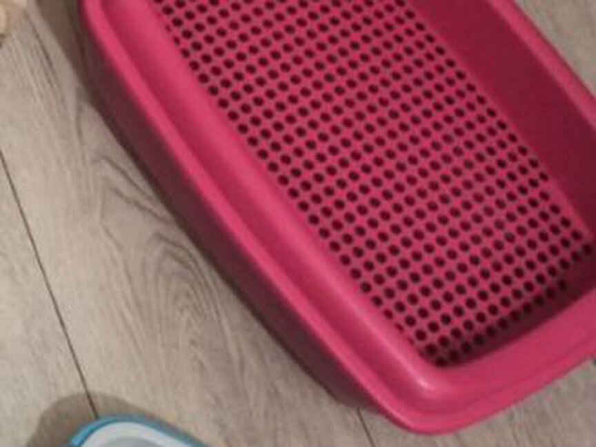 Лоток для кошек