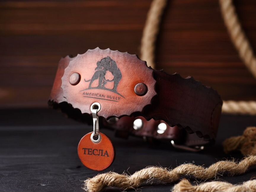 Ошейник для собак «Тесла»