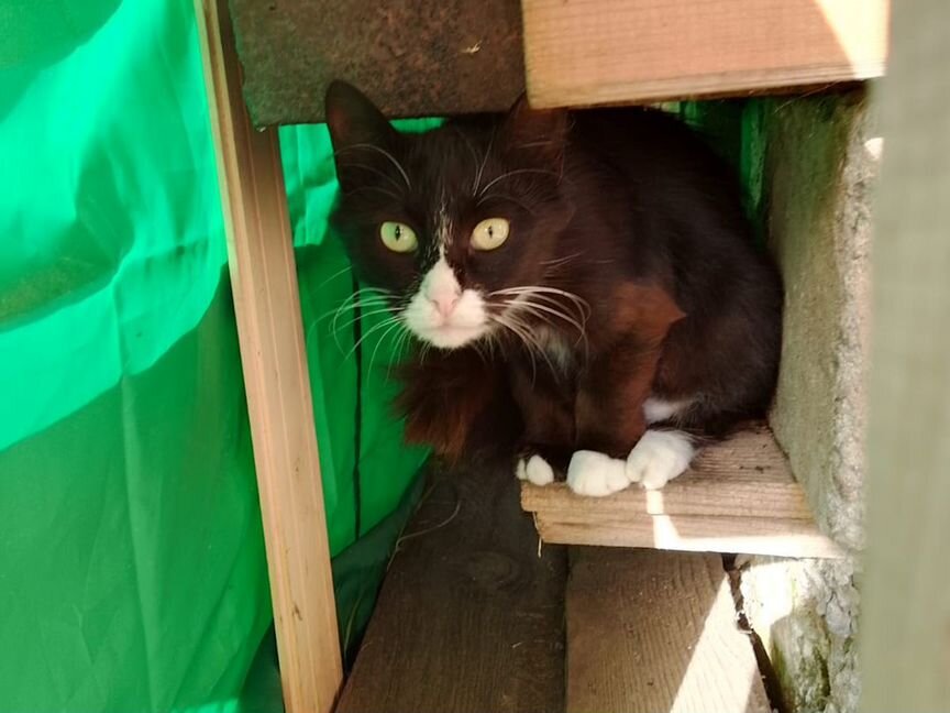 Очень нужна передержка